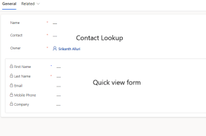 Using Quick view form to display Contact details in Power Pages ...